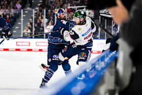 DEL Vorschau, 37. Spieltag: EHC Red Bull München empfängt die Eisbären ...